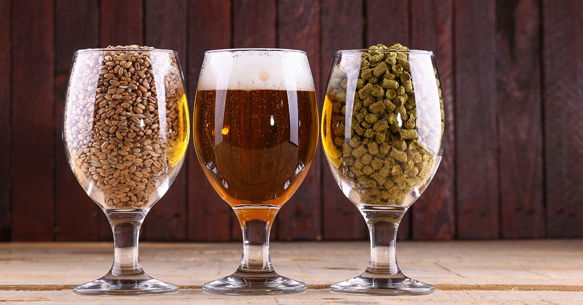 Cómo hacer cerveza - Cerveza y Malta