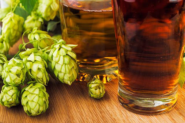 ¿Hay lúpulo en Brasil? - Cerveza y malta