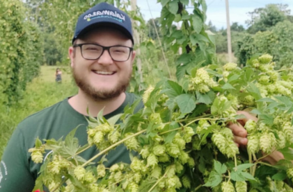 LÚPULO: DESCOBERTO NOVO TIPO DE ALFA E BETA ÁCIDO