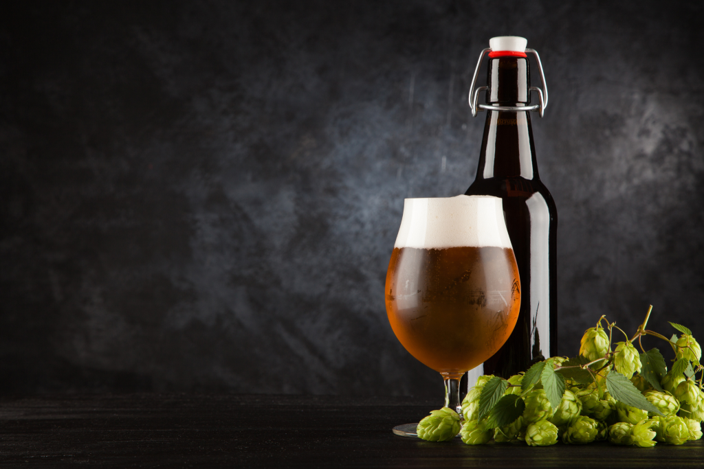 Qué es el lúpulo, sus características y su uso en la cerveza.